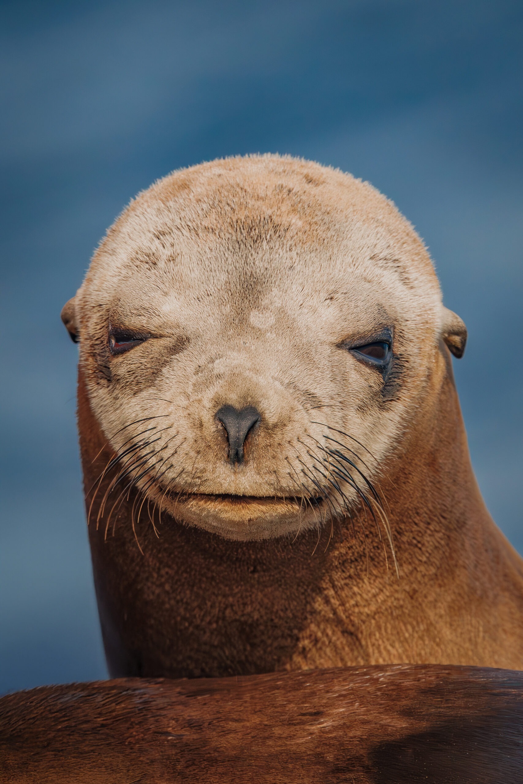 Marine Life – Marco Reda Photography